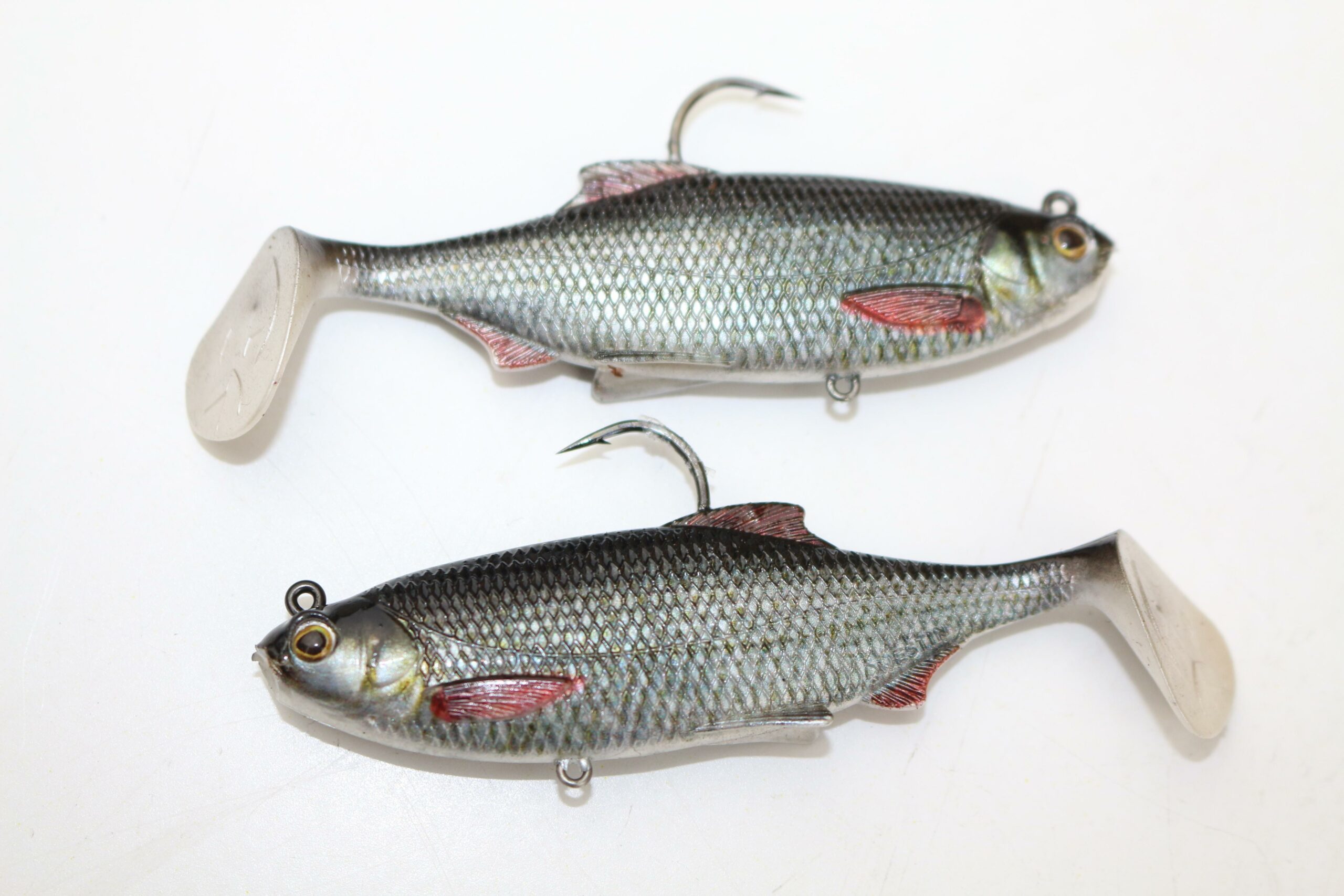 Westin Ricky The Roach Shadtail Real Roach 7cm 9g