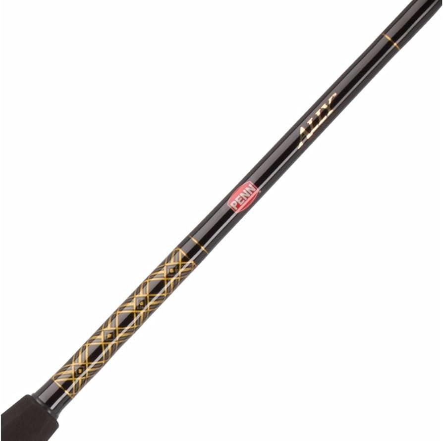 Penn Ally Stand Up Rod 6'6' 30-80LB