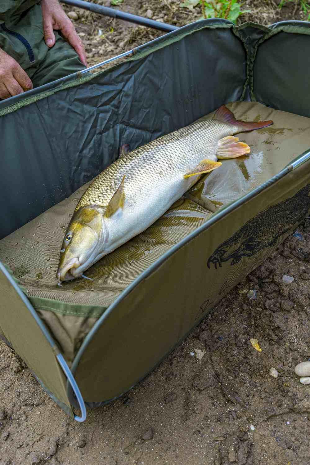 Korum Classic Barbel - Fast Mat