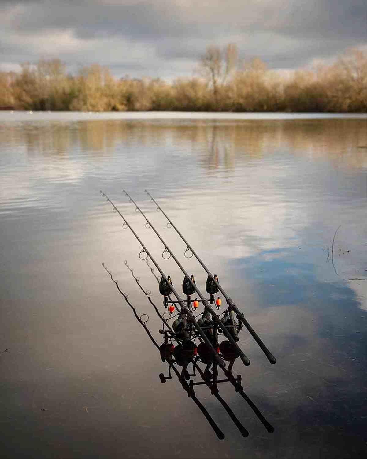 Fox EOS X 13ft 3.5lb Full Shrink