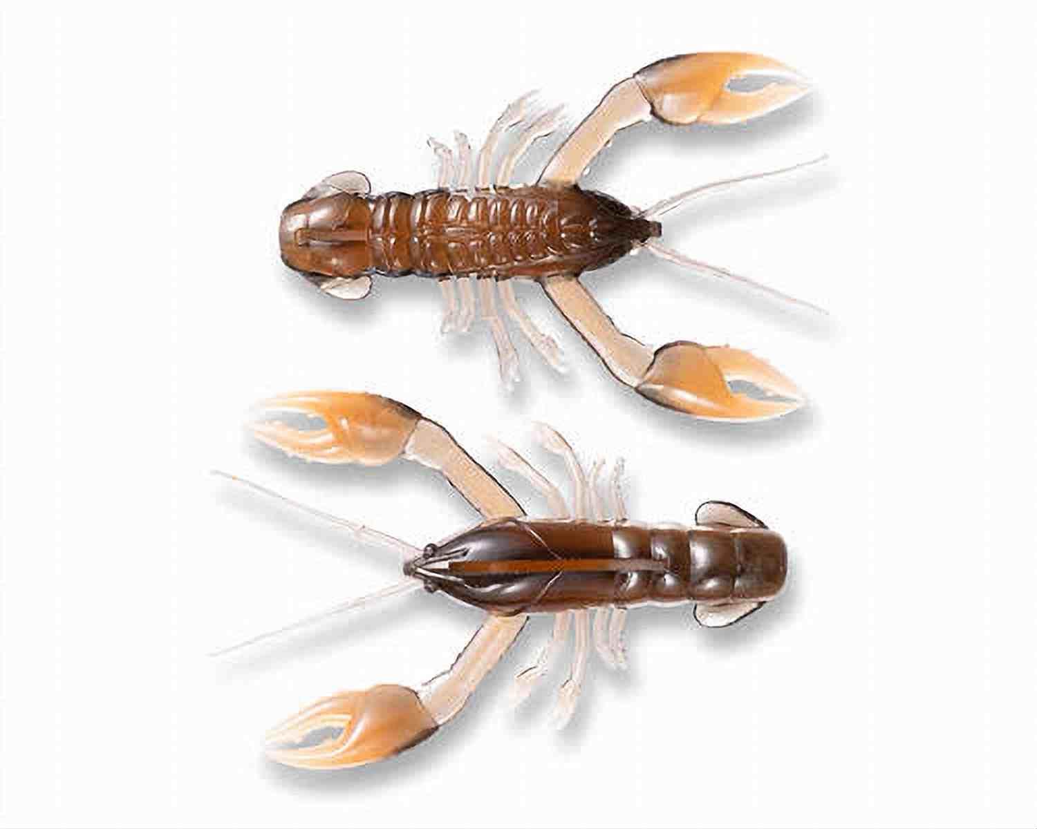 Nikko Craw 2.4"